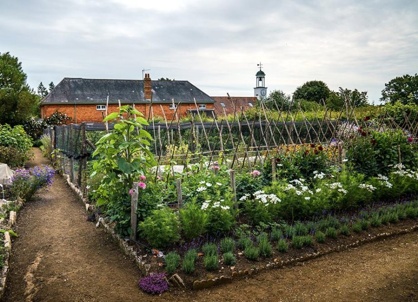 Jazz in the Garden at Hampton Estate | Phyllis Tuckwell